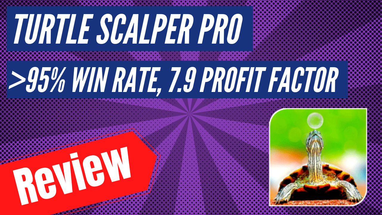 Forex Scalping Robot 2020 – Turtle Scalper Pro – Mr Alan Forex